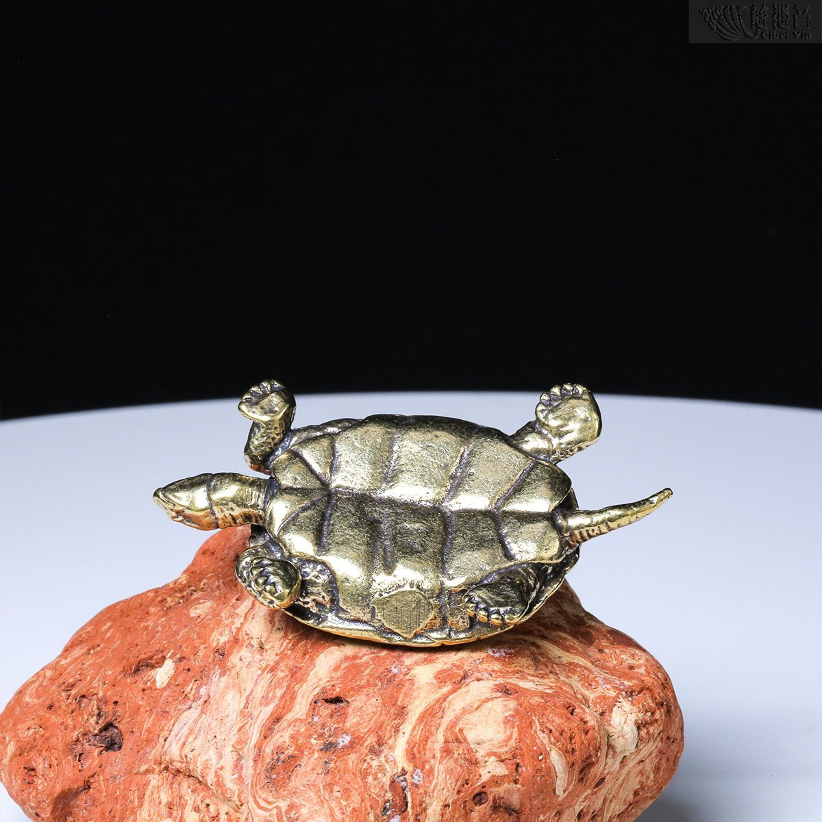 Solid Brass Longevity Turtle CiBeiYin