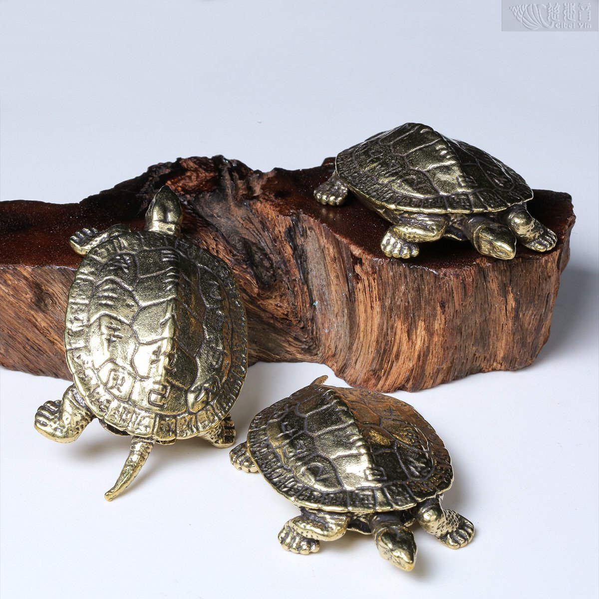 Solid Brass Longevity Turtle CiBeiYin