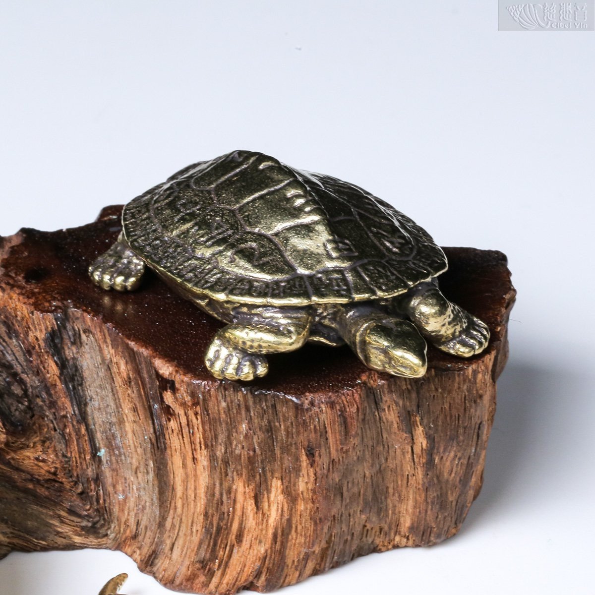 Solid Brass Longevity Turtle CiBeiYin