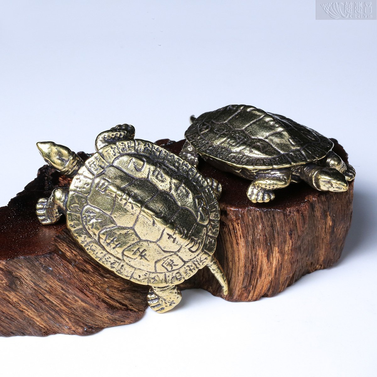 Solid Brass Longevity Turtle CiBeiYin