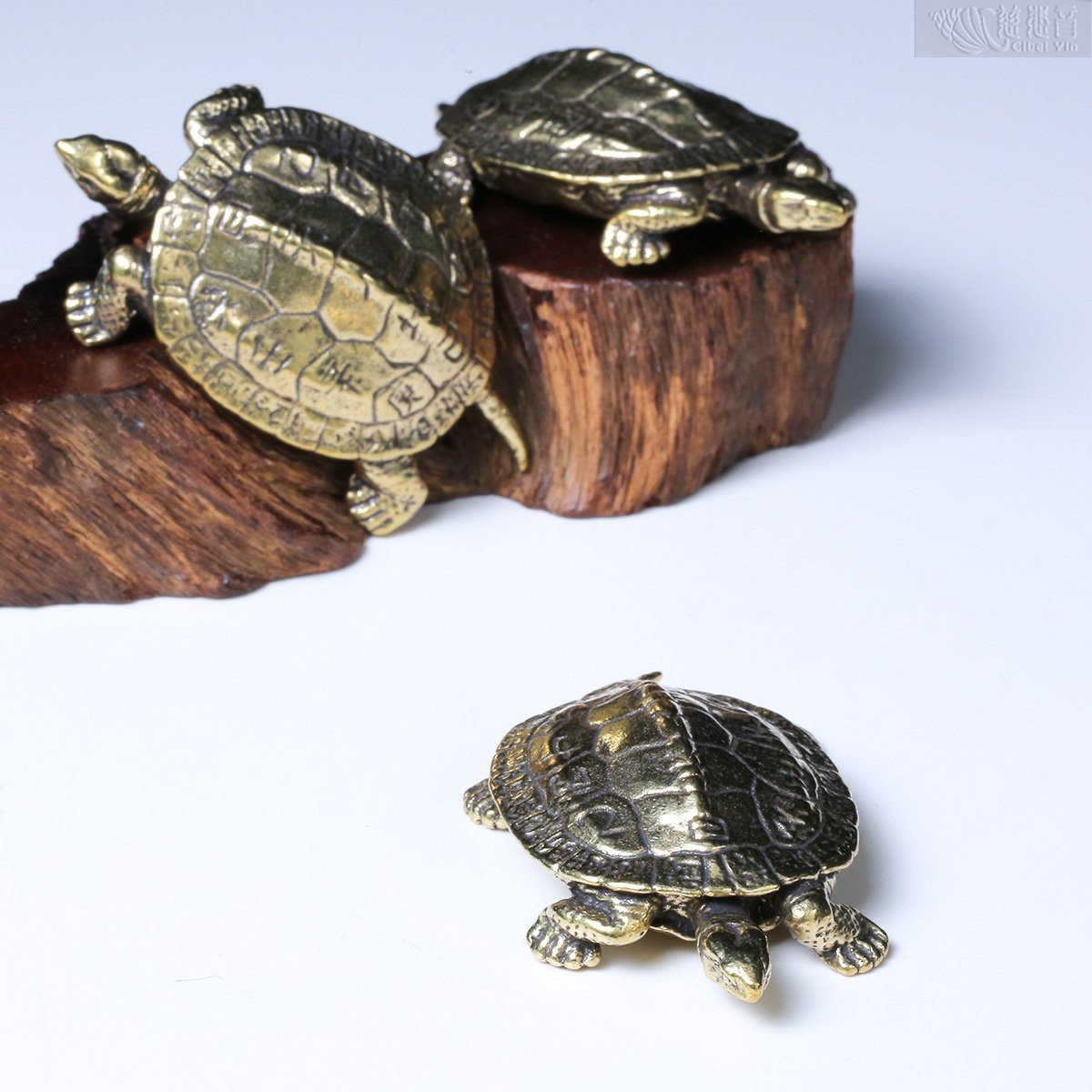 Solid Brass Longevity Turtle CiBeiYin
