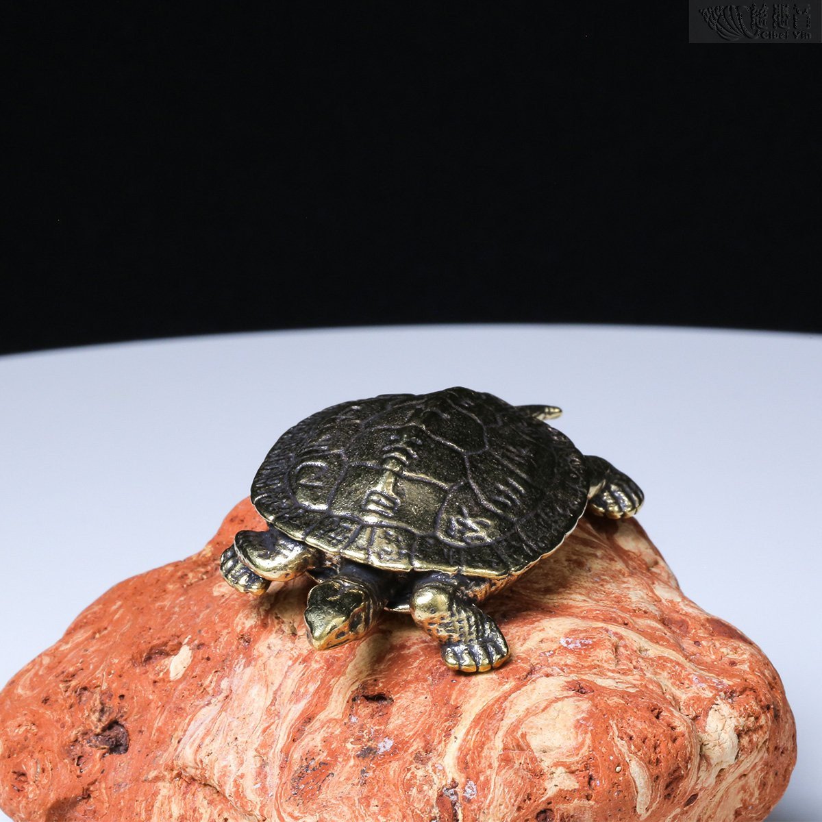 Solid Brass Longevity Turtle CiBeiYin