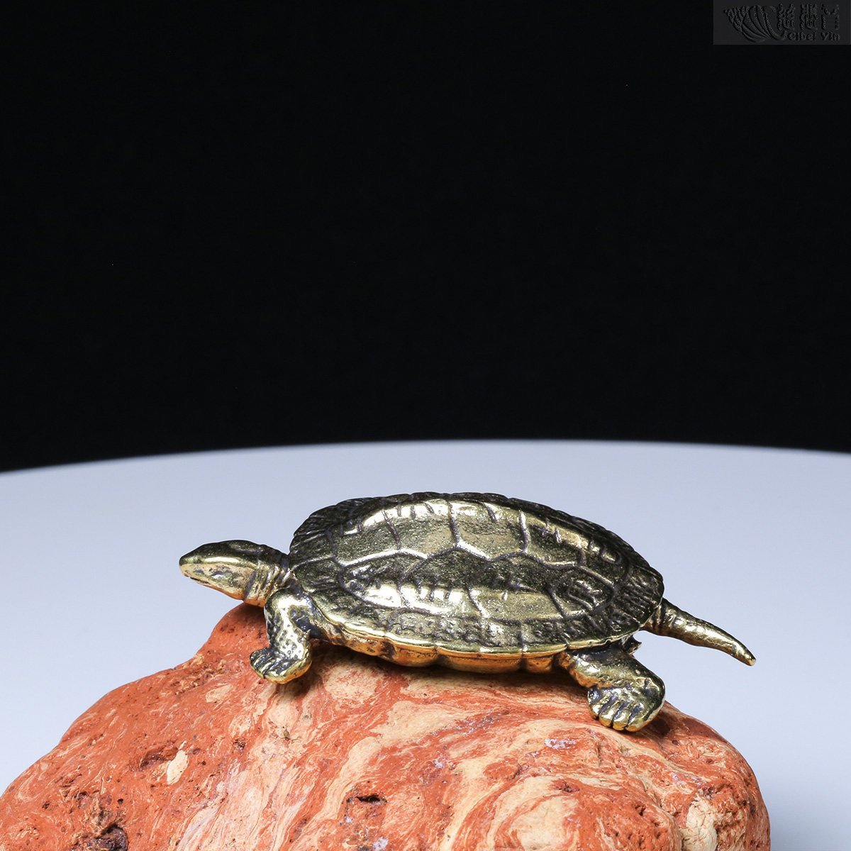 Solid Brass Longevity Turtle CiBeiYin