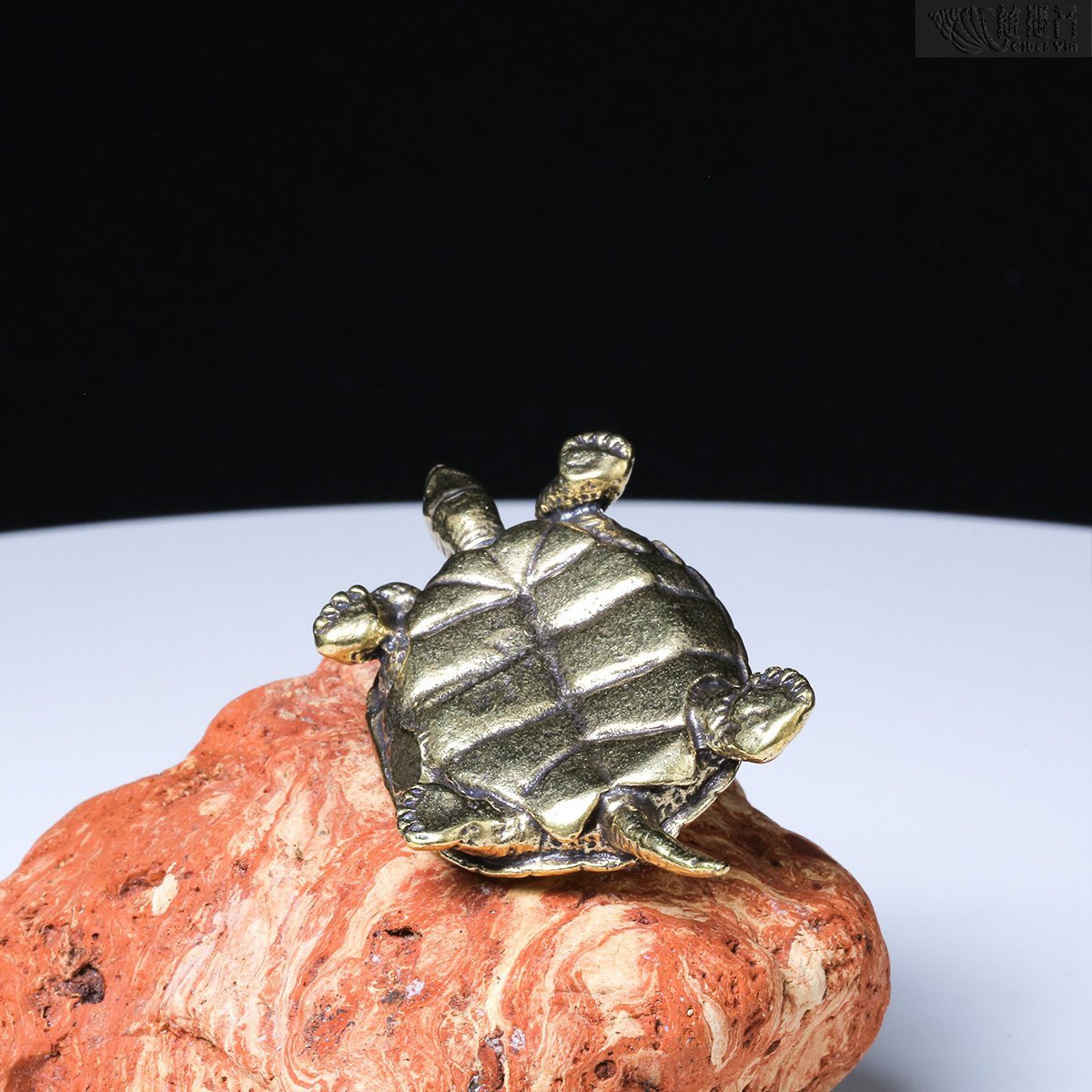Solid Brass Longevity Turtle CiBeiYin